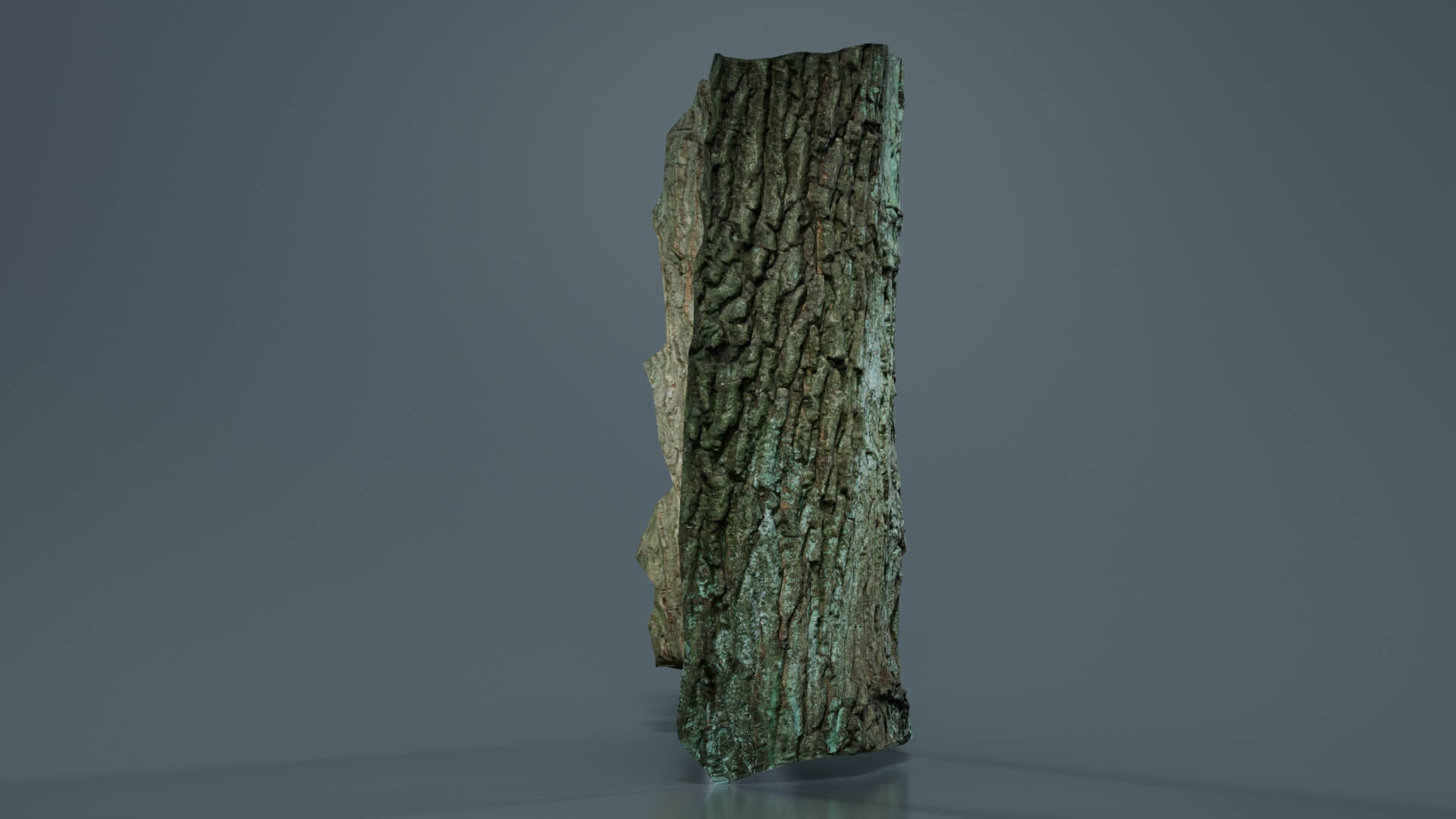Circle Bark - 3D Model by Polygonal Miniatures