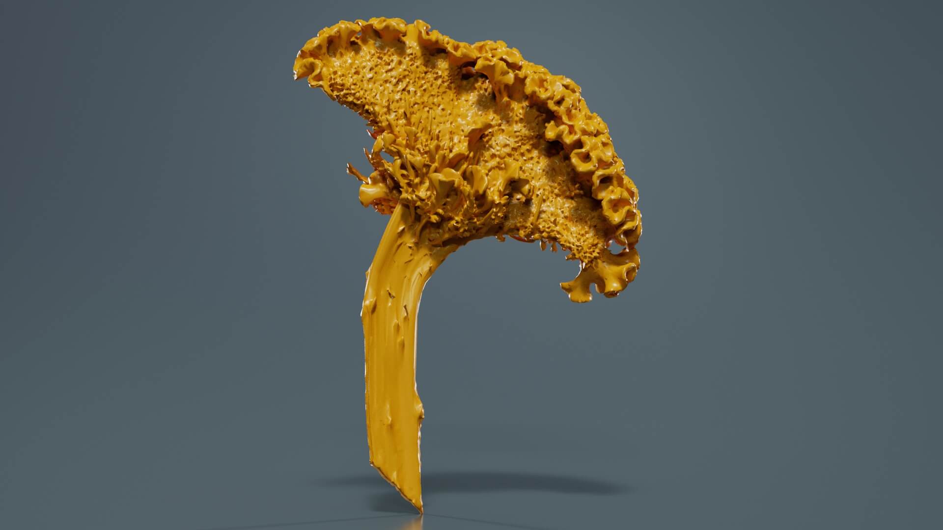 Cockscomb - 3D Model by Polygonal Miniatures