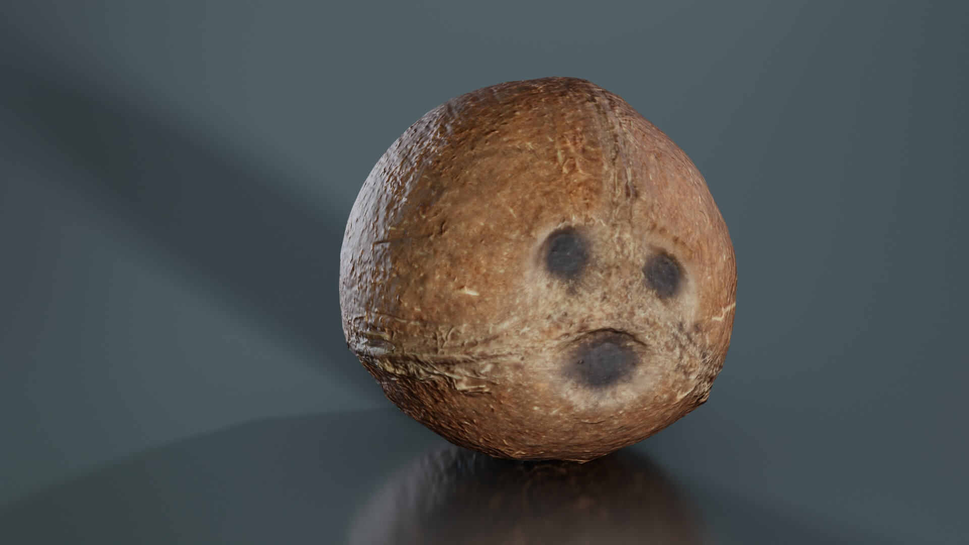 Coconut - 3D Model by Polygonal Miniatures