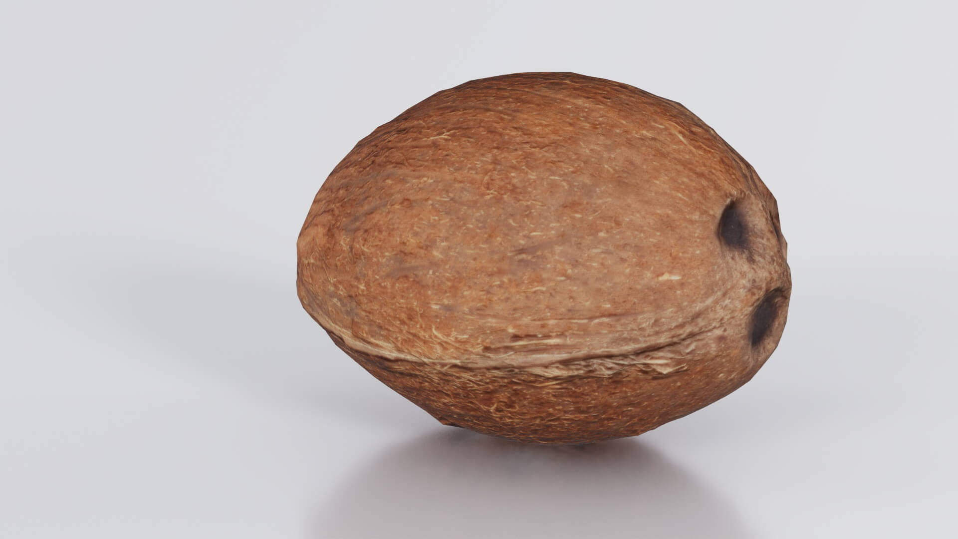 Coconut - 3D Model by Polygonal Miniatures