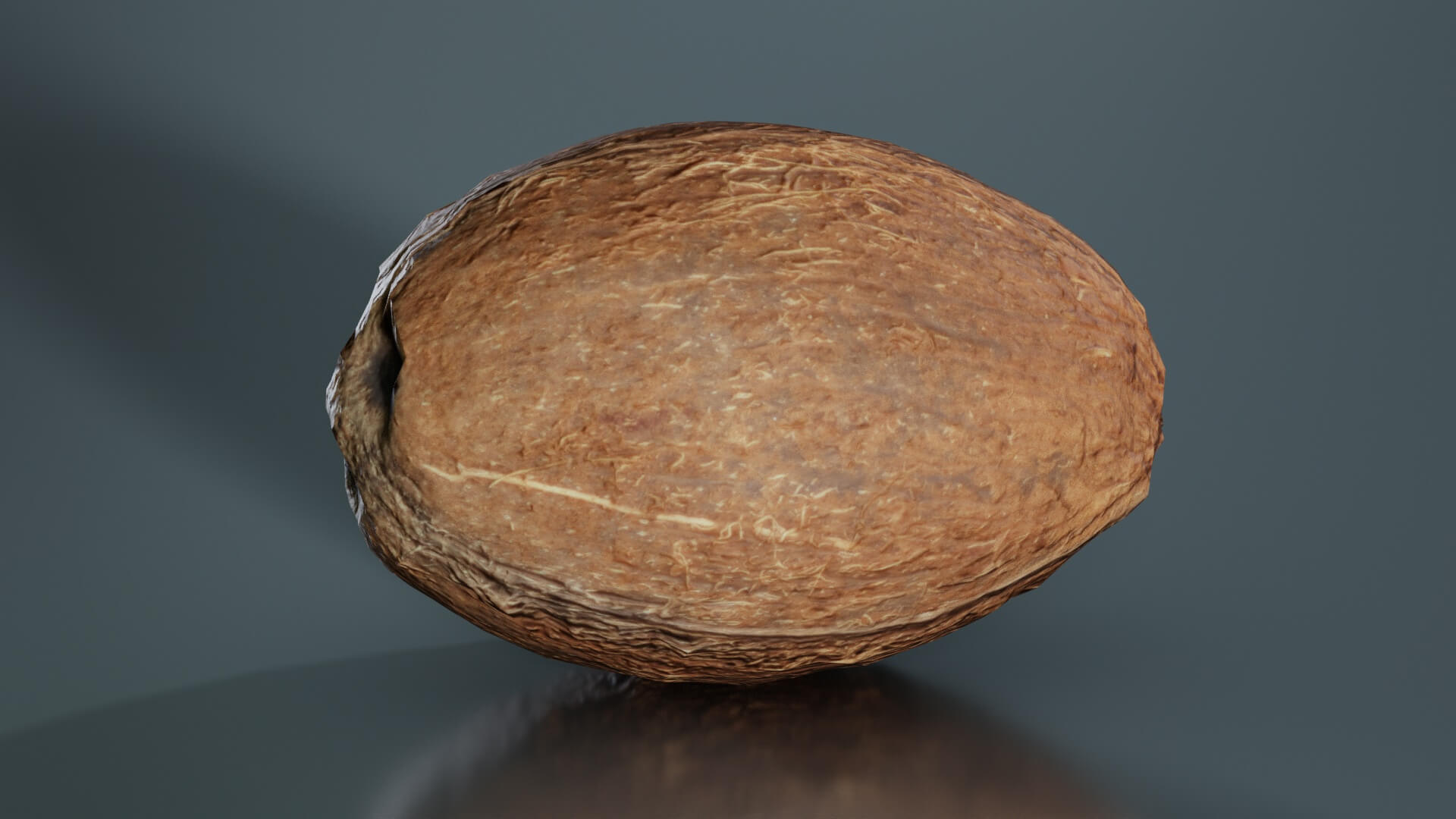 Coconut - 3D Model by Polygonal Miniatures