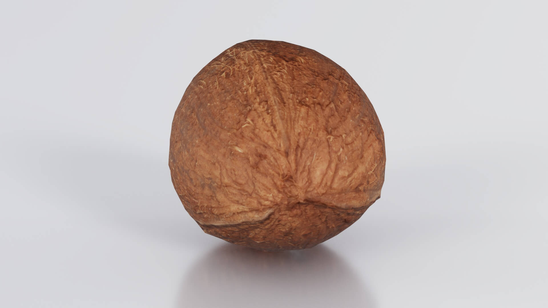 Coconut - 3D Model by Polygonal Miniatures