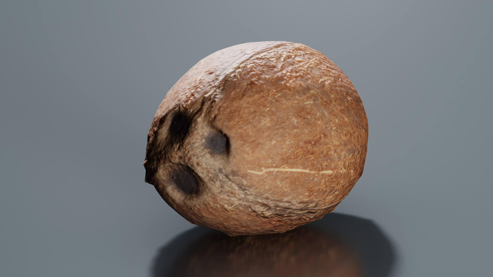 Coconut - 3D Model by Polygonal Miniatures