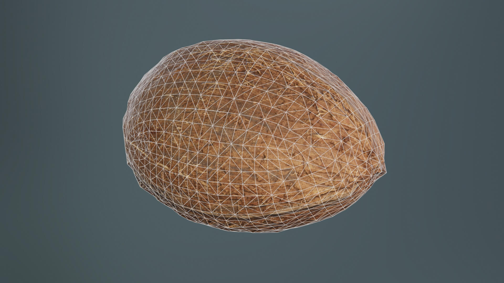Coconut - 3D Model by Polygonal Miniatures