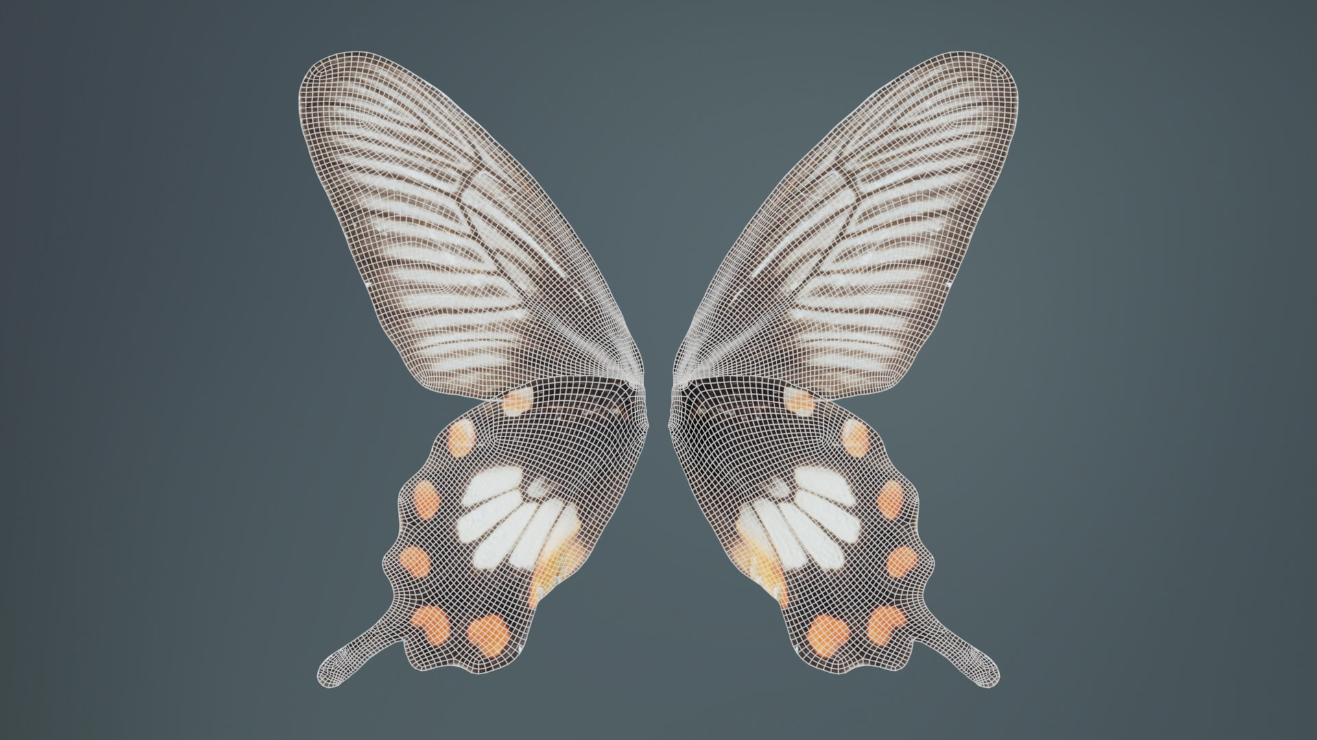 Common Rose - 3D Model by Polygonal Miniatures