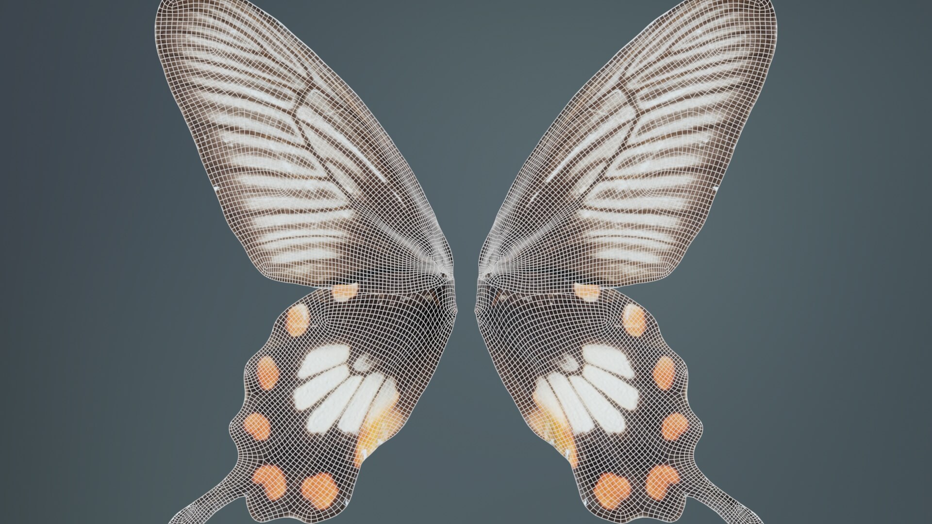 Common Rose - 3D Model by Polygonal Miniatures