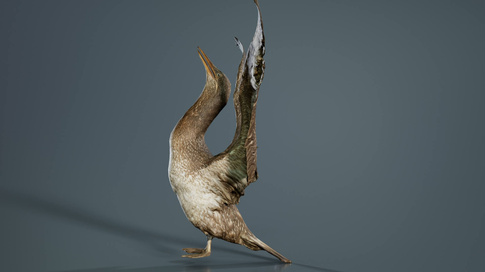 Cormorant Corvus Marinus Sea Raven - 3D Model by Polygonal Miniatures