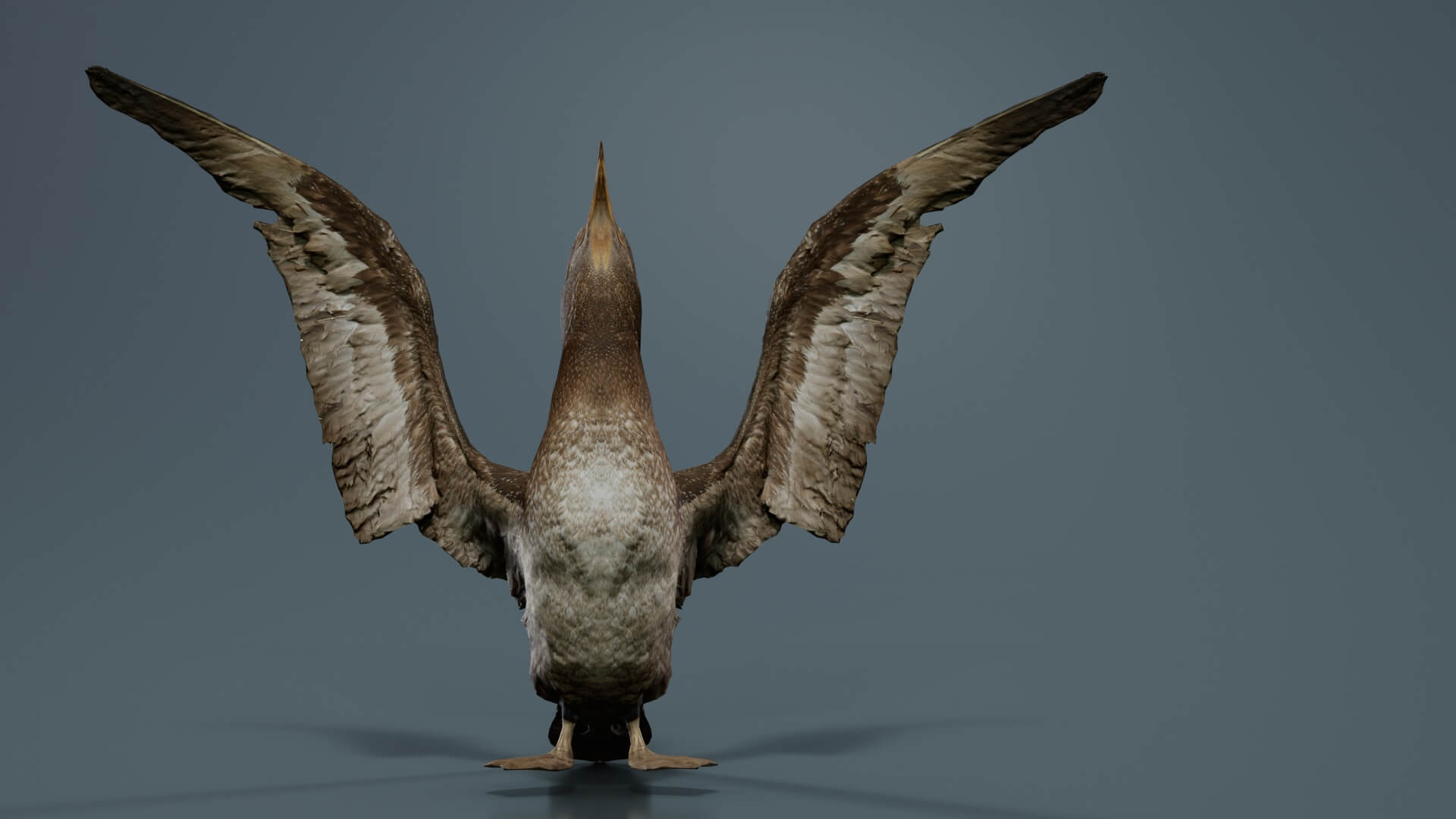 Cormorant Corvus Marinus Sea Raven - 3D Model by Polygonal Miniatures