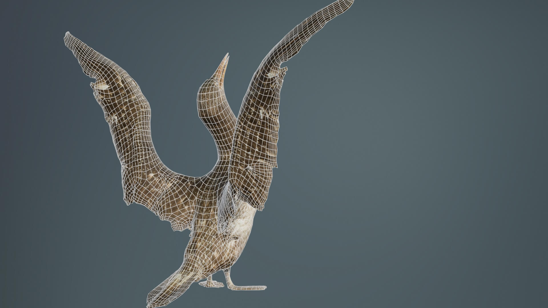 Cormorant Corvus Marinus Sea Raven - 3D Model by Polygonal Miniatures