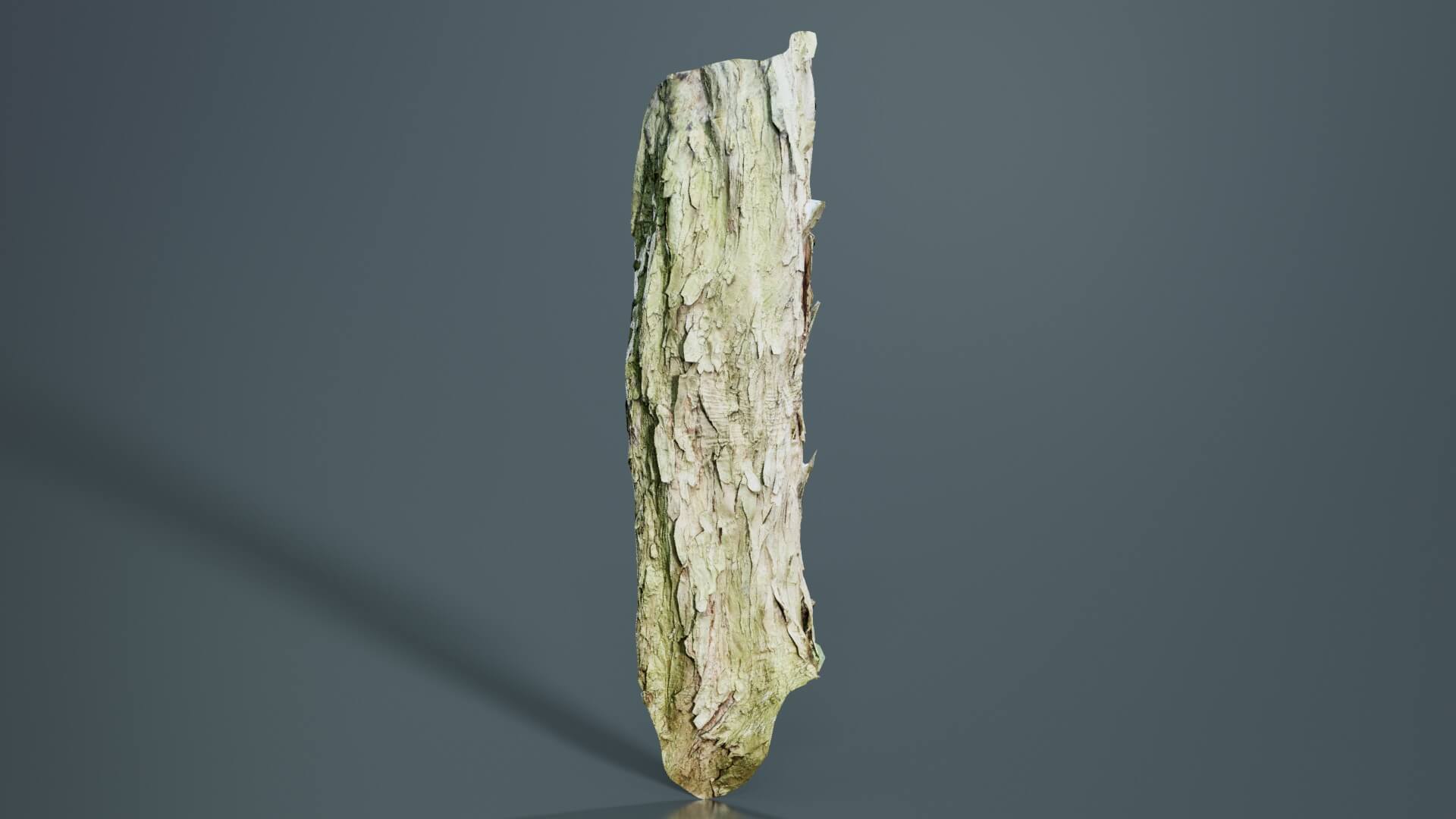 Crack Bark - 3D Model by Polygonal Miniatures