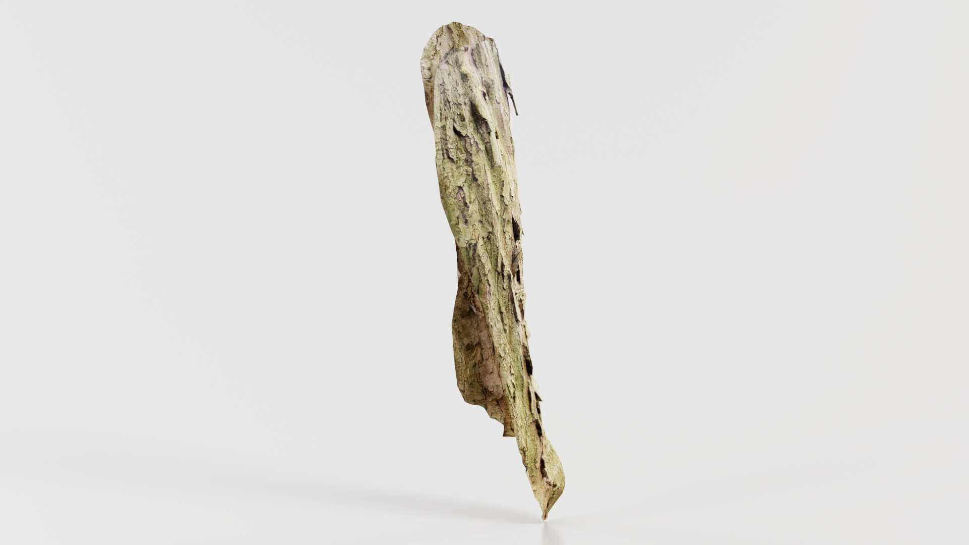 Crack Bark - 3D Model by Polygonal Miniatures