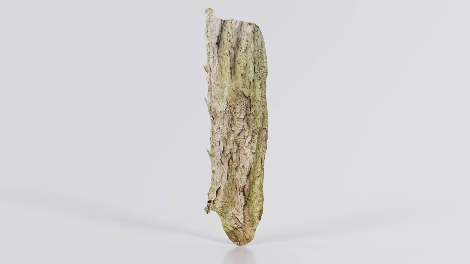 Crack Bark - 3D Model by Polygonal Miniatures