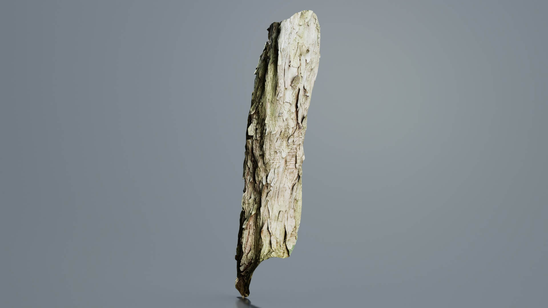 Crack Bark - 3D Model by Polygonal Miniatures