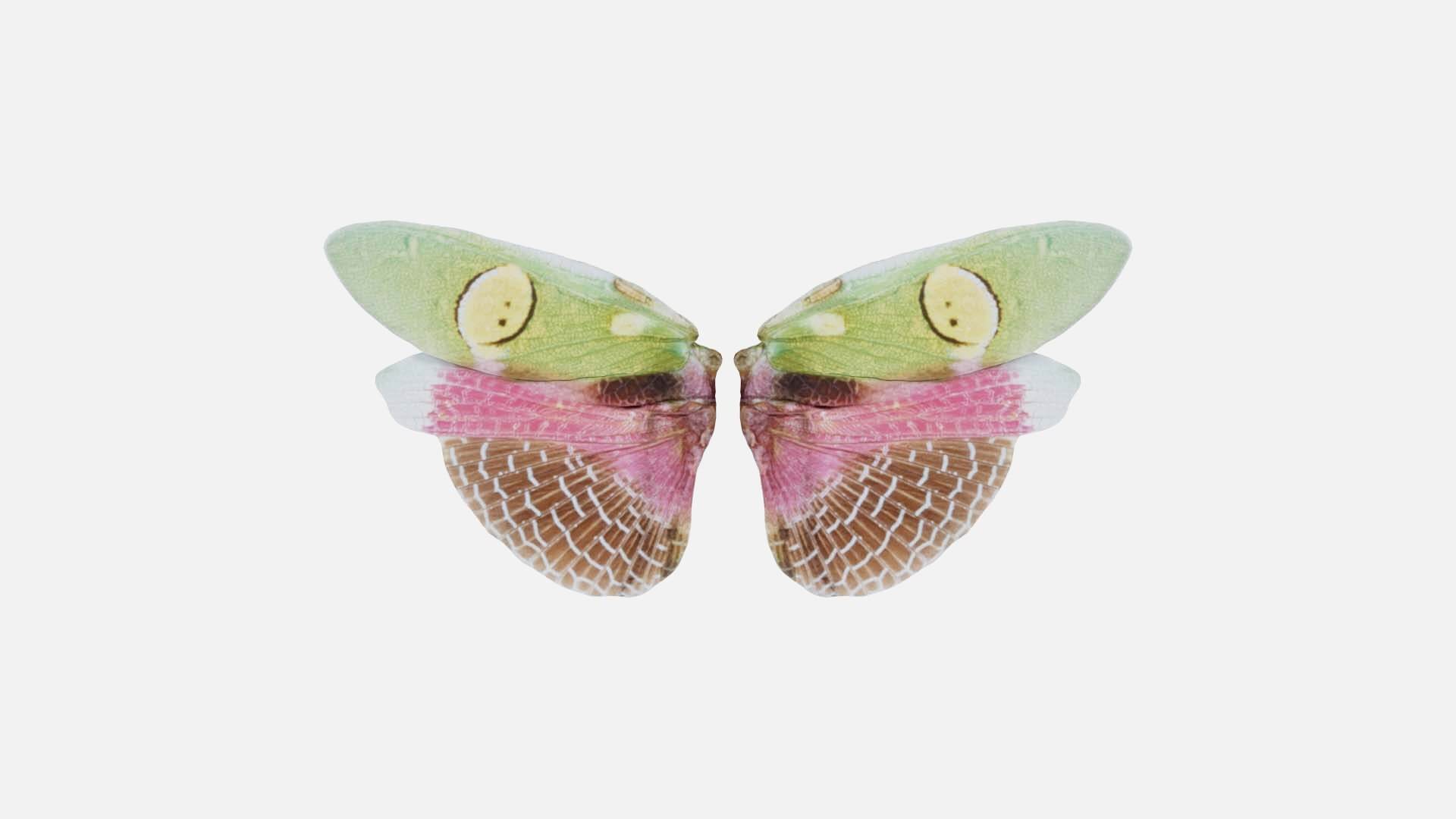 Creoboter Mortis Java - 3D Model by Polygonal Miniatures