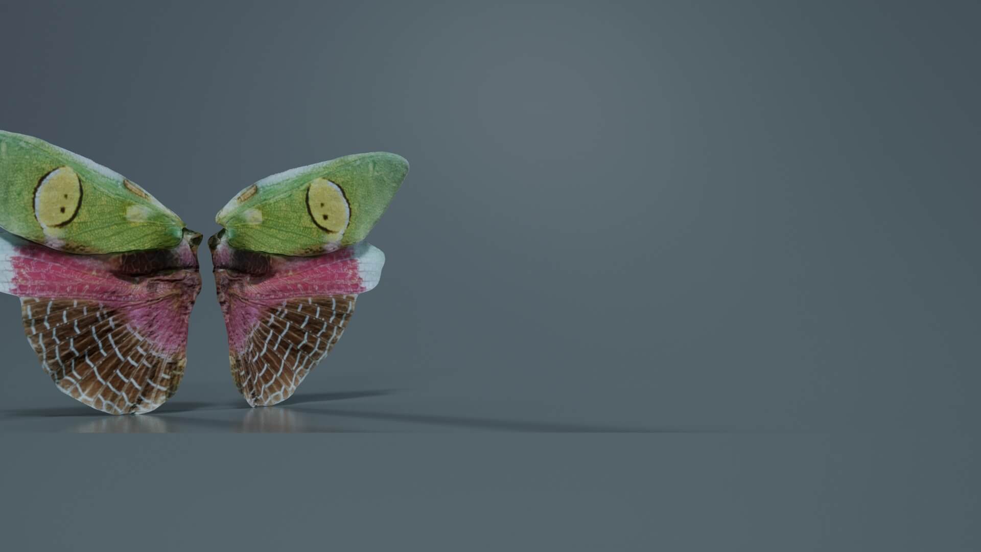 Creoboter Mortis Java - 3D Model by Polygonal Miniatures