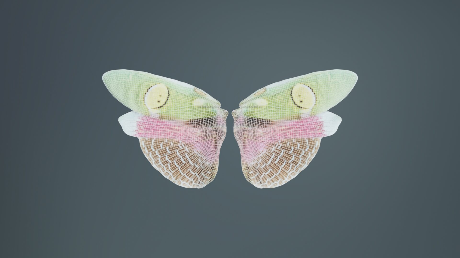 Creoboter Mortis Java - 3D Model by Polygonal Miniatures