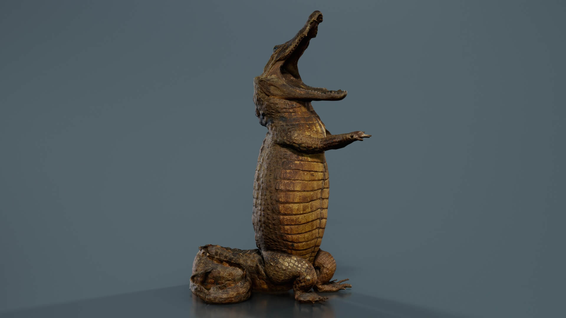 Crocodile Stand - 3D Model by Polygonal Miniatures