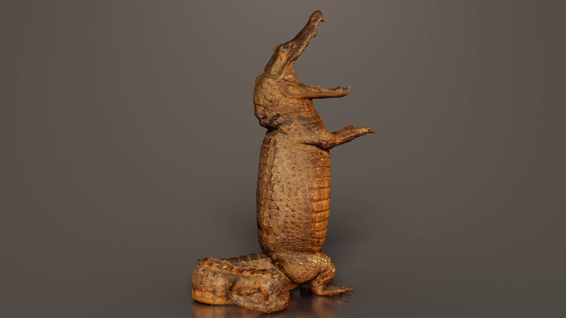 Crocodile Stand - 3D Model by Polygonal Miniatures