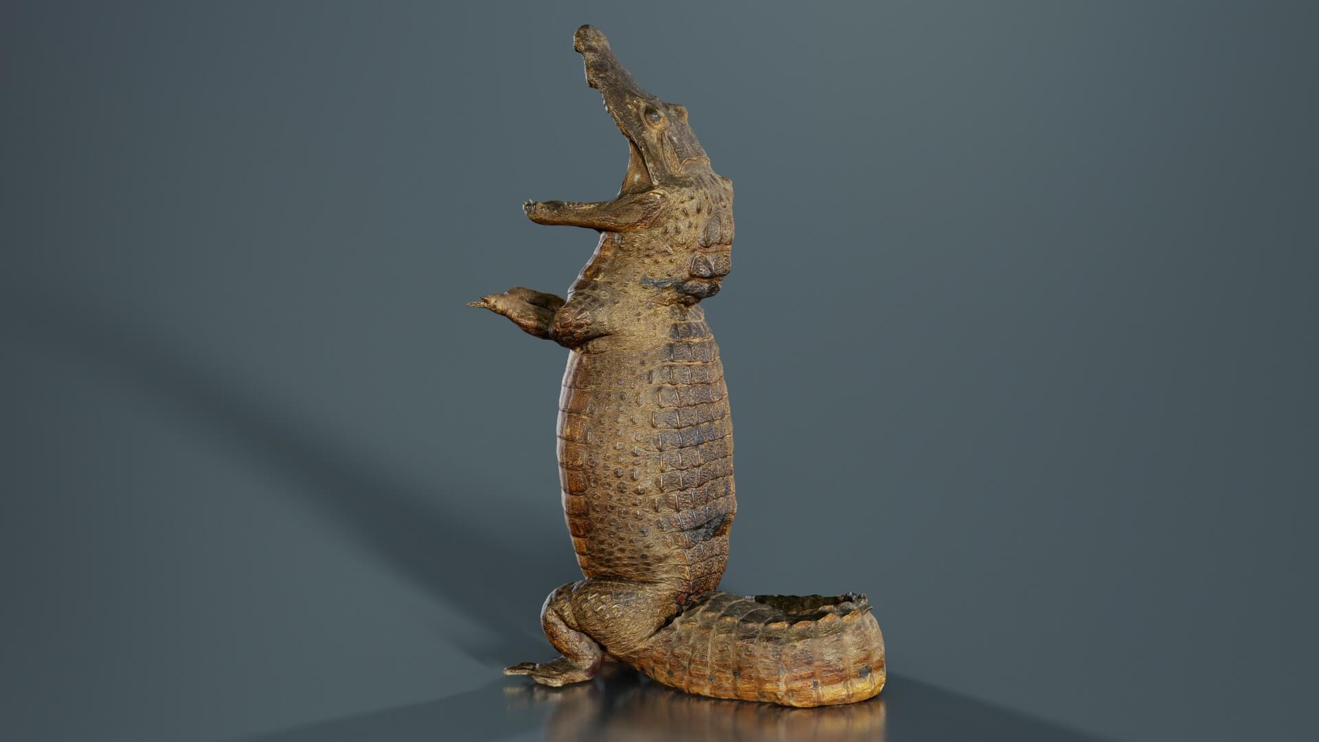 Crocodile Stand - 3D Model by Polygonal Miniatures