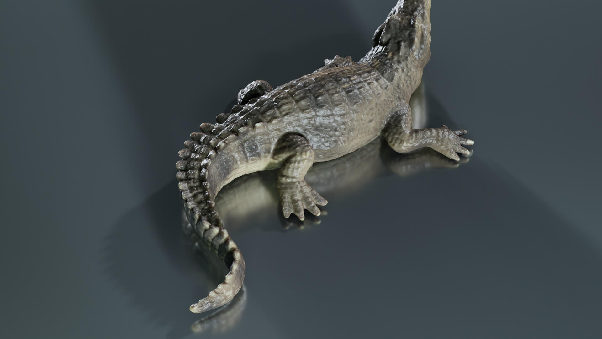 Crocodile - 3D Model by Polygonal Miniatures