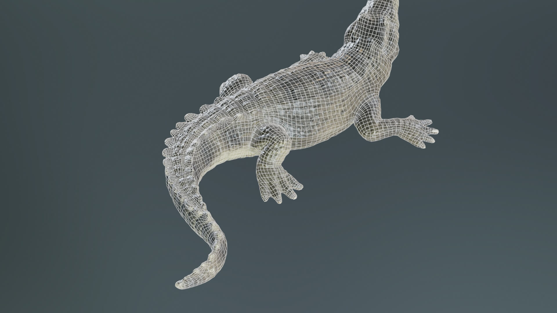 Crocodile - 3D Model by Polygonal Miniatures