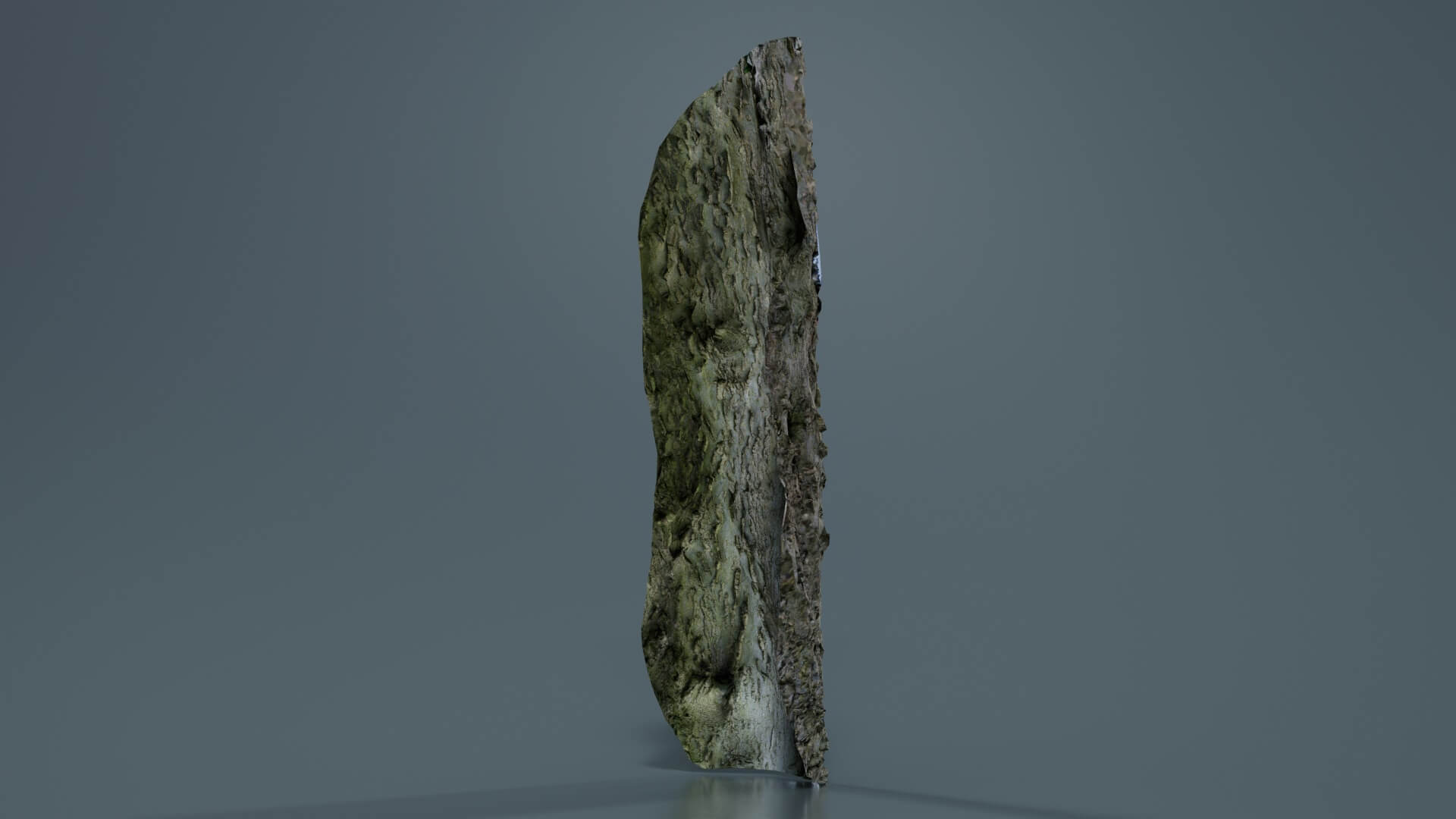 Curved Bark - 3D Model by Polygonal Miniatures
