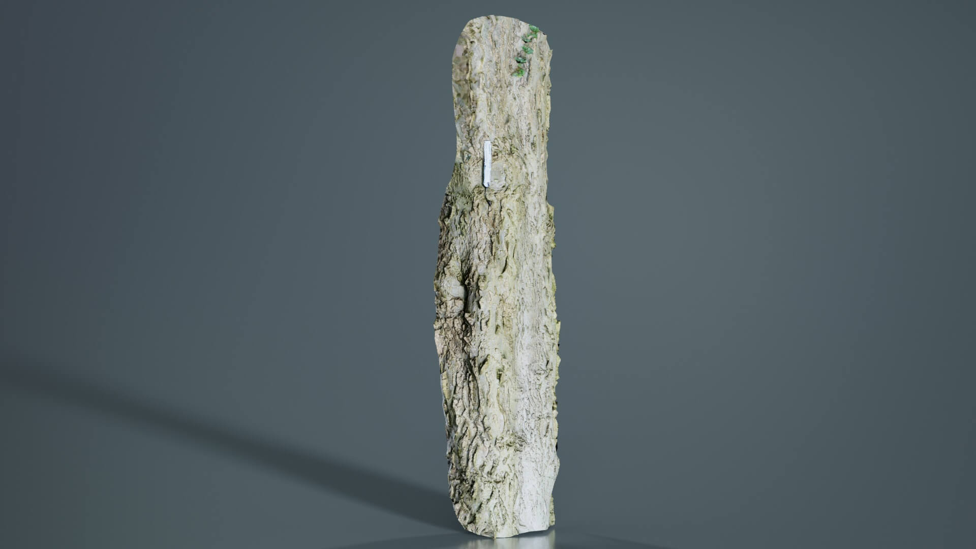 Curved Bark - 3D Model by Polygonal Miniatures