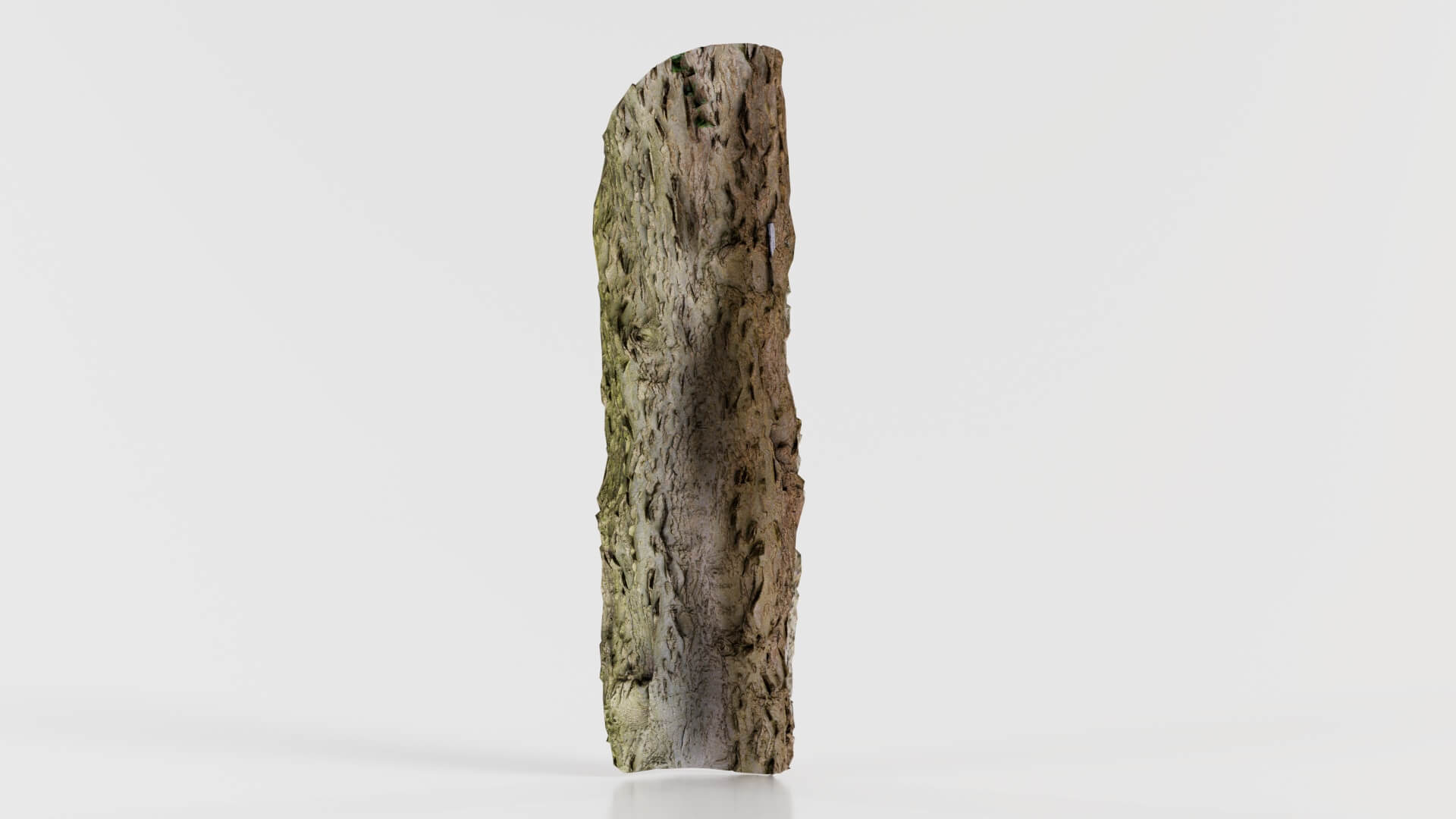 Curved Bark - 3D Model by Polygonal Miniatures