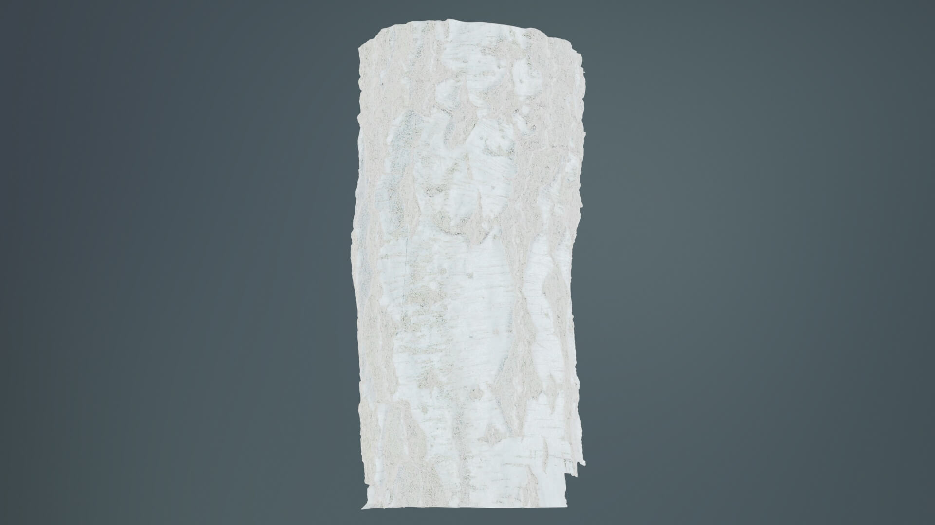 Cut Paper Bark - 3D Model by Polygonal Miniatures