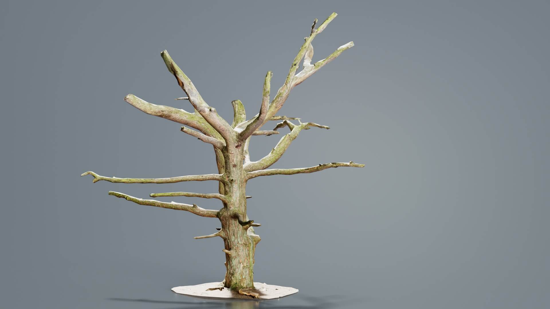 Dancing Tree Trunk - 3D Model by Polygonal Miniatures