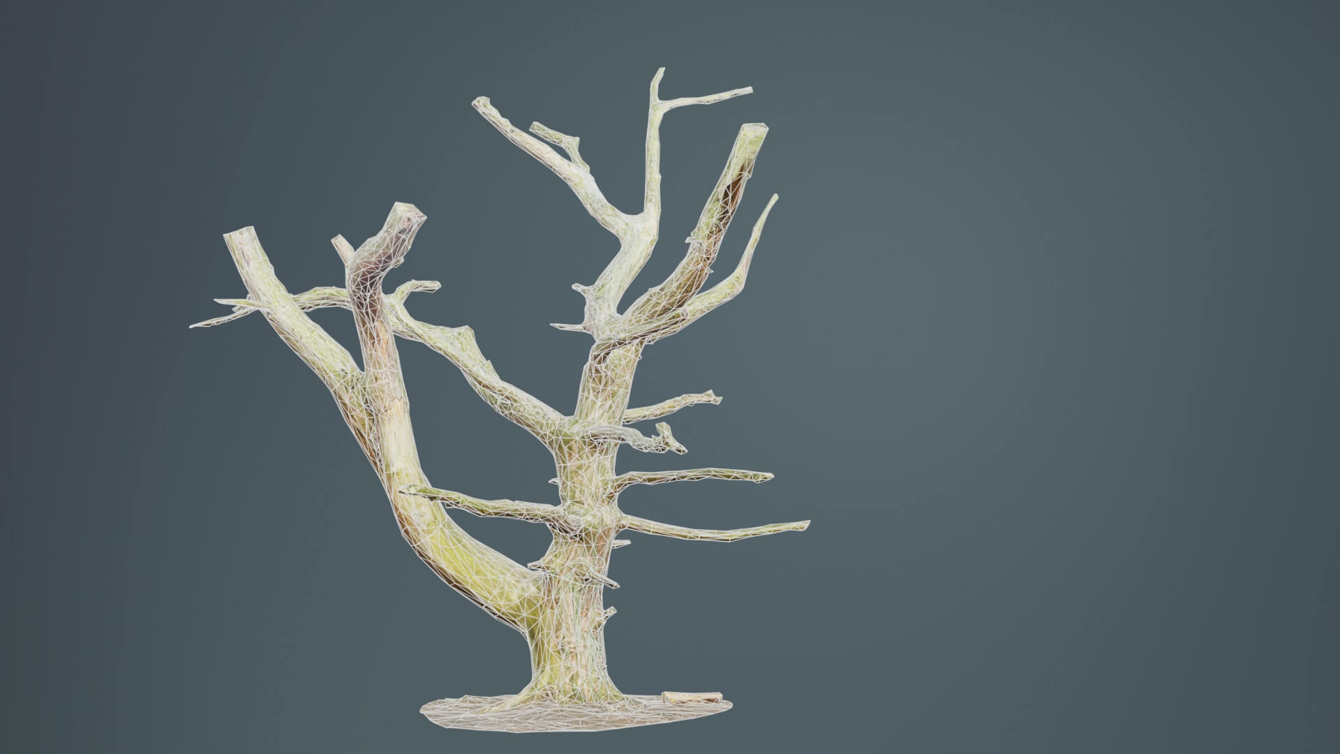 Dancing Tree Trunk - 3D Model by Polygonal Miniatures