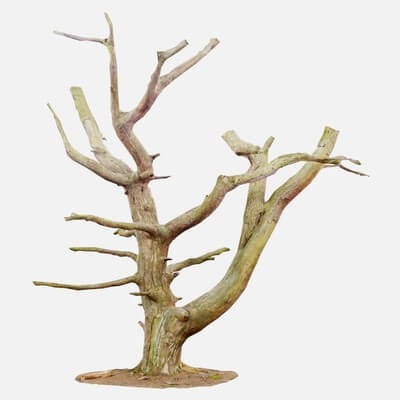 Dancing Tree Trunk - 3D Model by Polygonal Miniatures