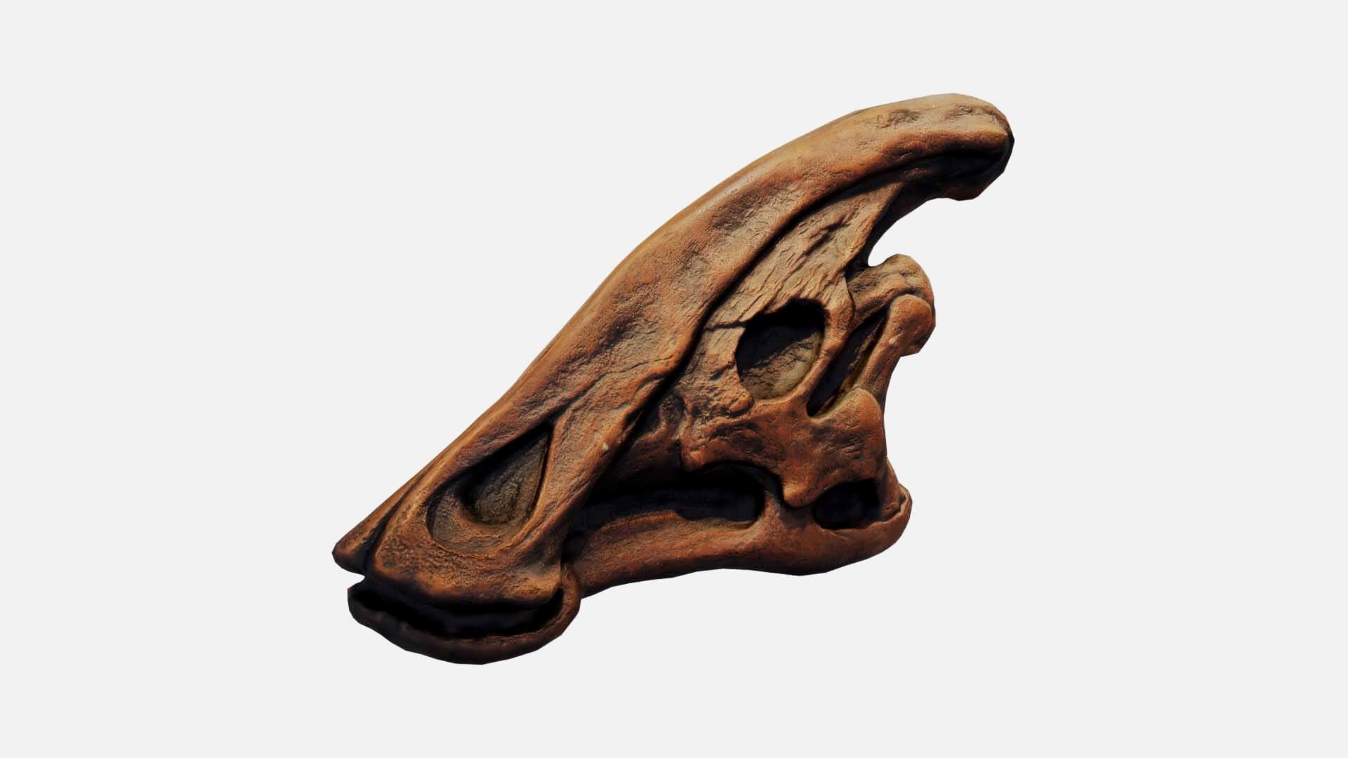 Dinosaur Skull - 3D Model by Polygonal Miniatures