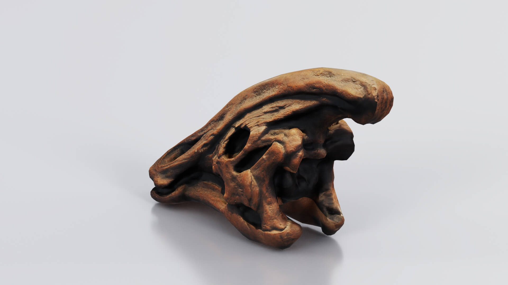 Dinosaur Skull - 3D Model by Polygonal Miniatures