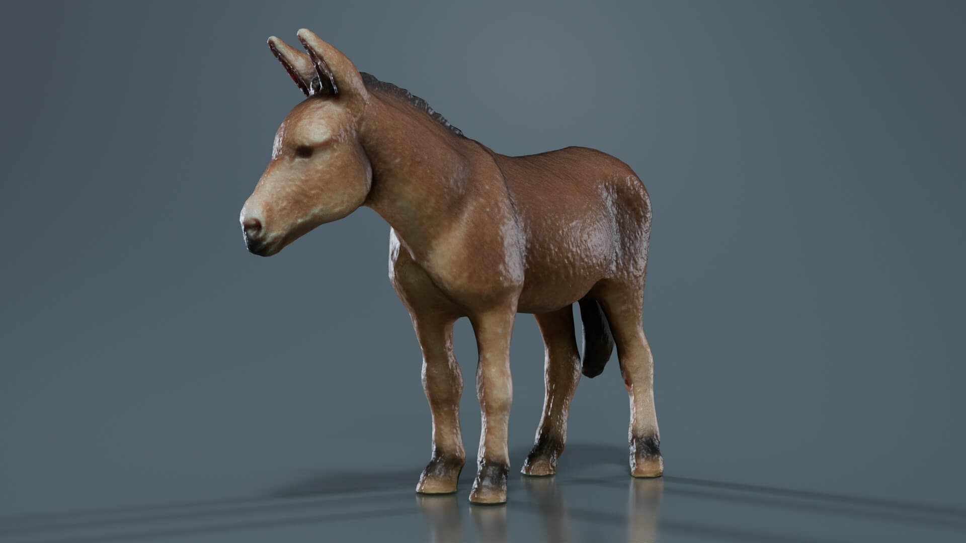 Donkey - 3D Model by Polygonal Miniatures