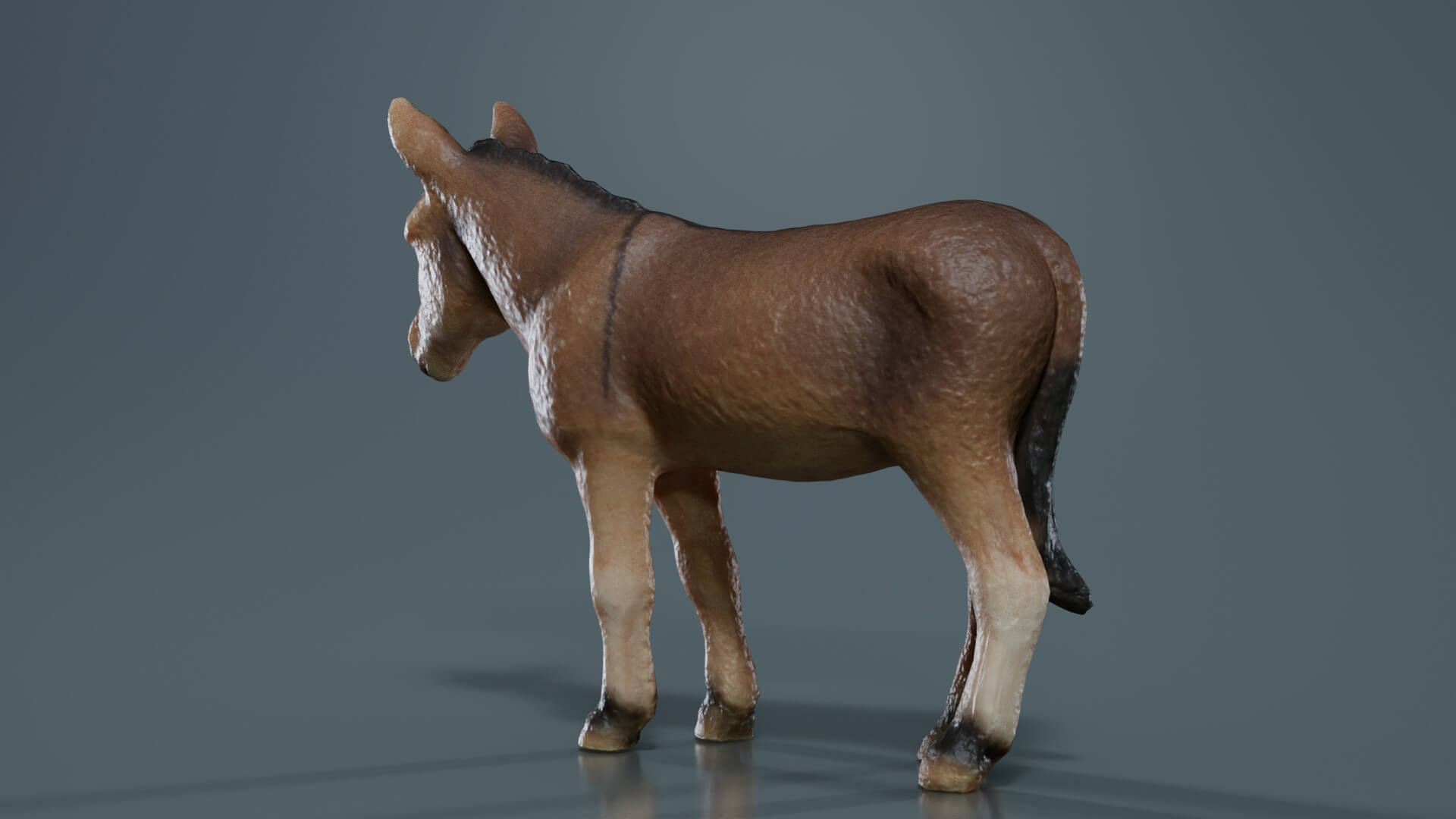 Donkey - 3D Model by Polygonal Miniatures