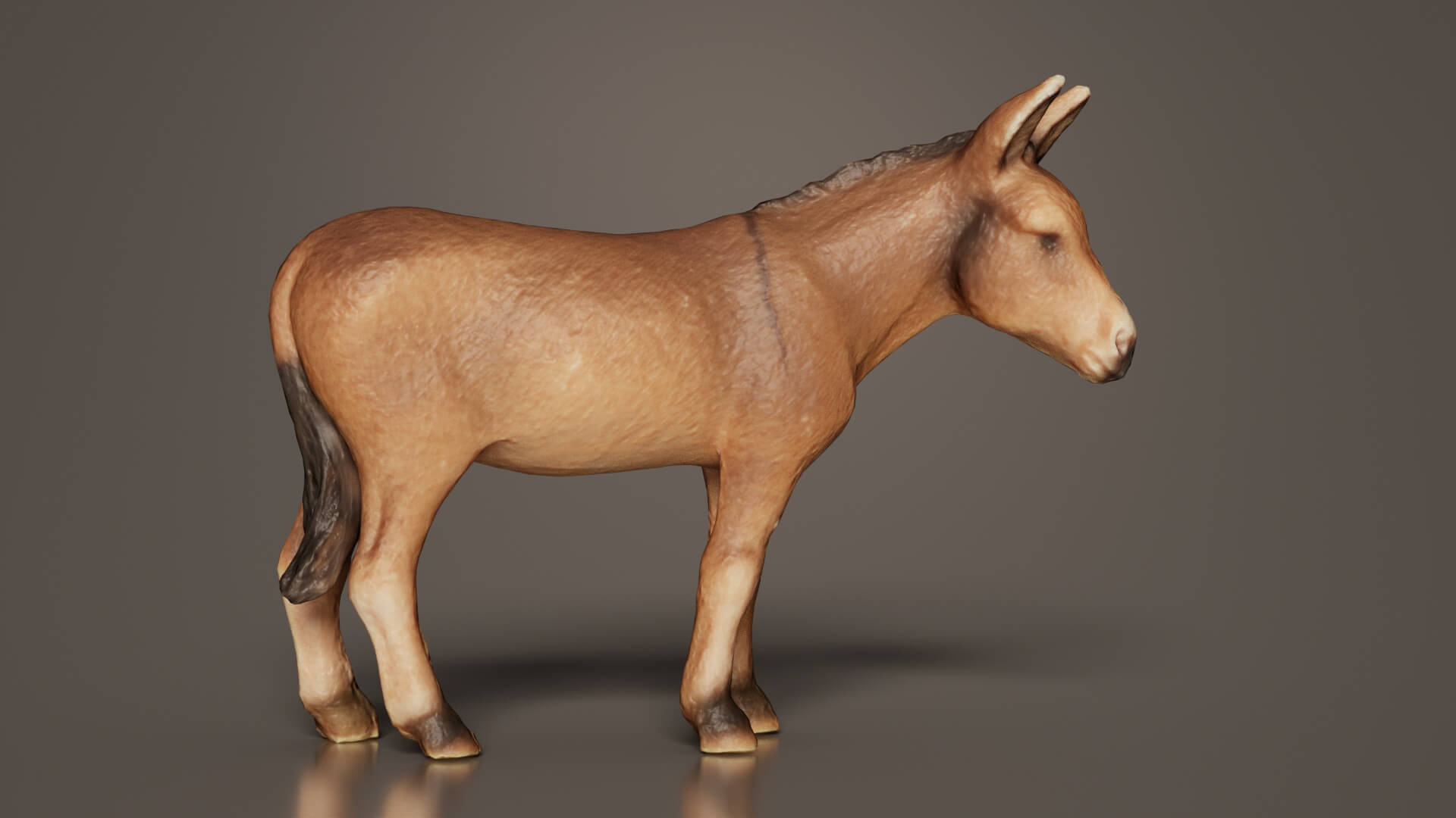 Donkey - 3D Model by Polygonal Miniatures