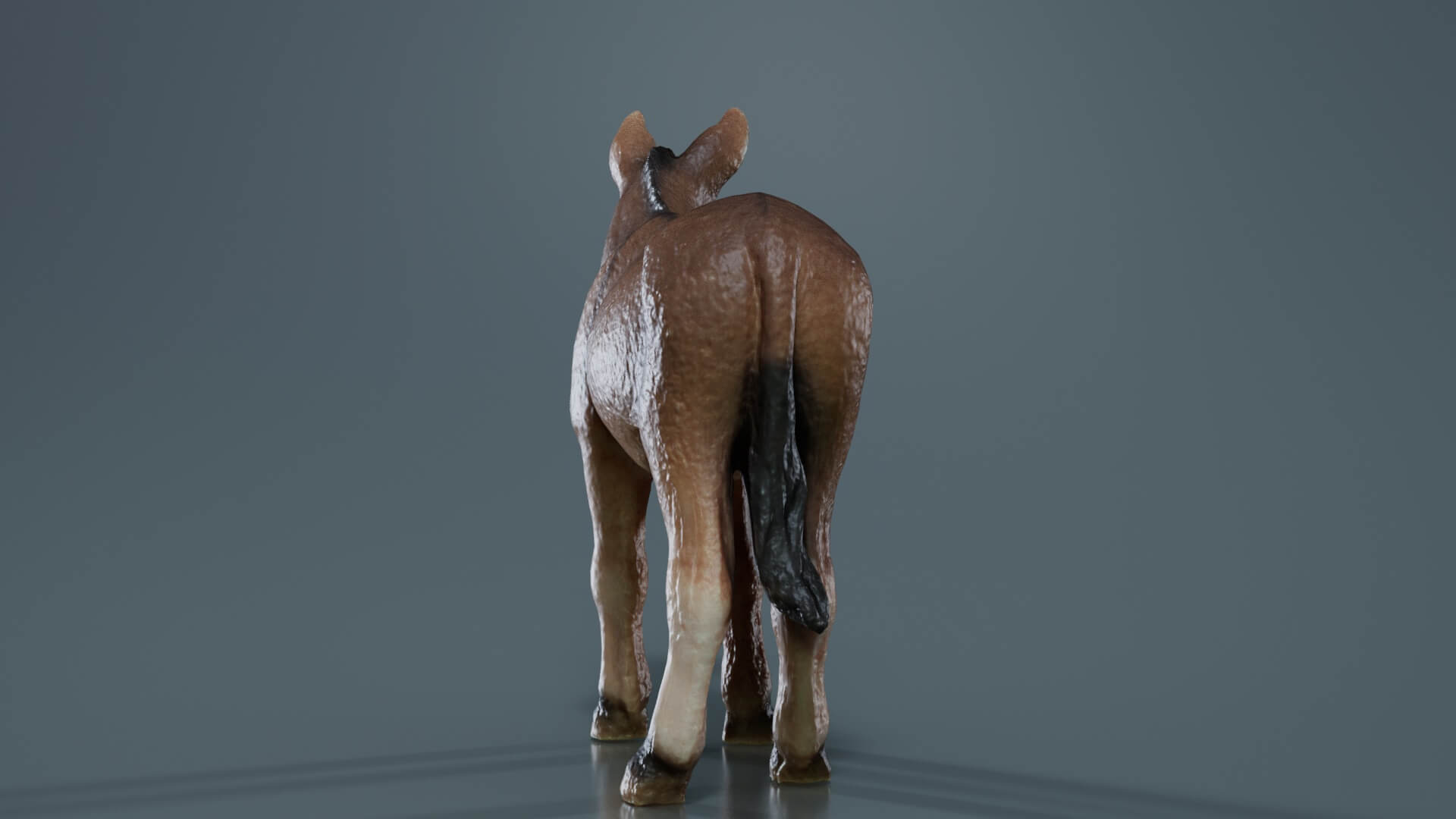 Donkey - 3D Model by Polygonal Miniatures