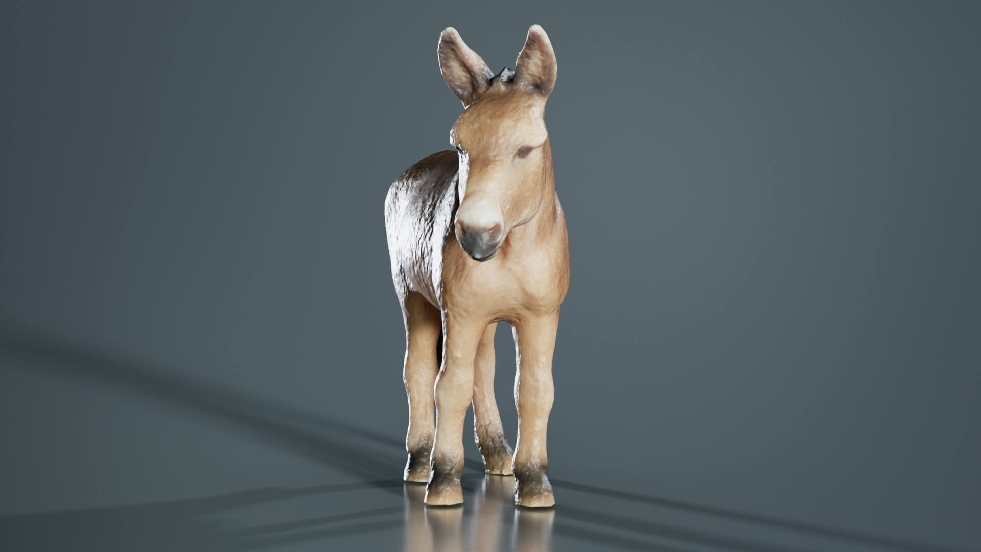 Donkey - 3D Model by Polygonal Miniatures