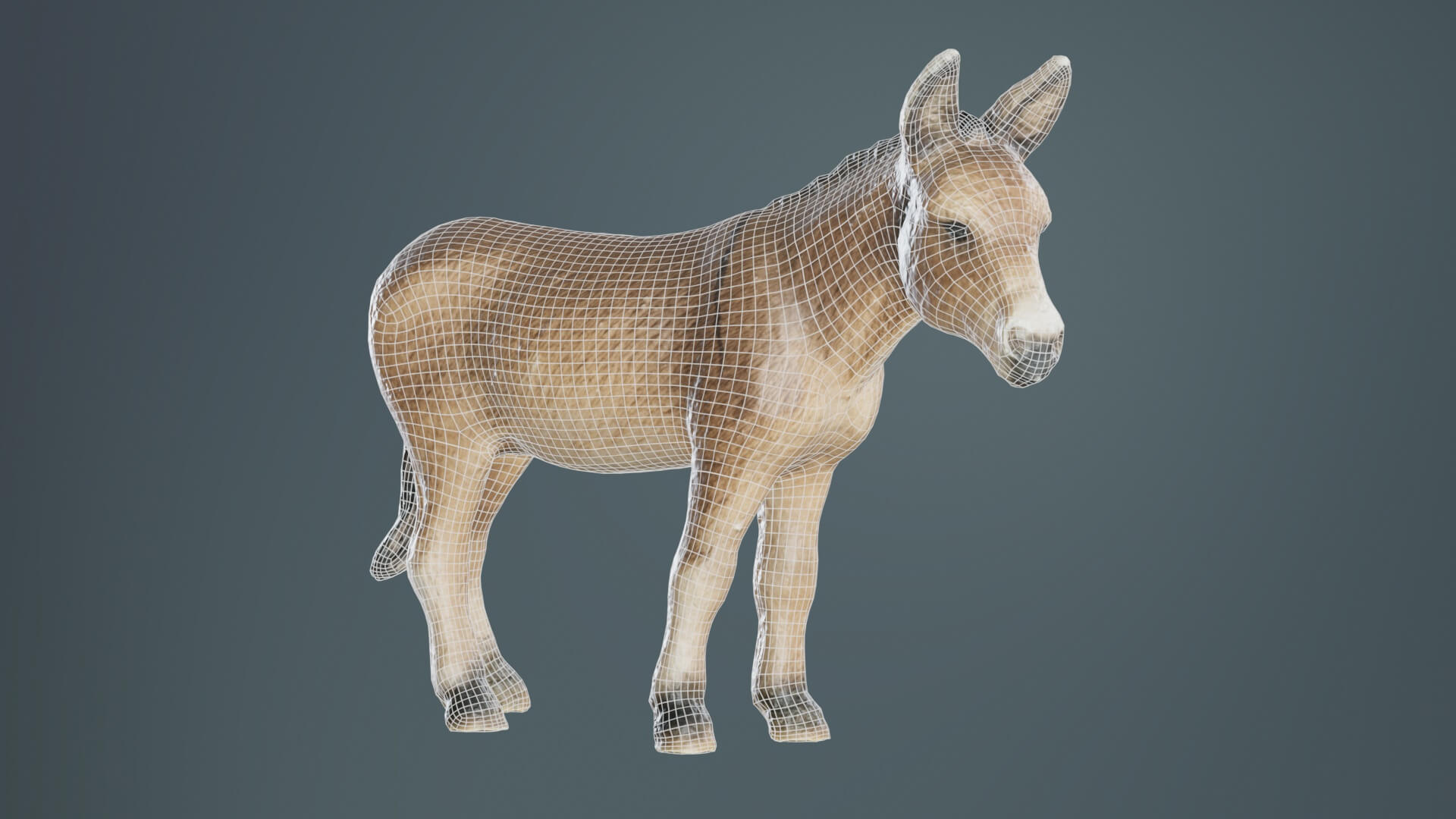 Donkey - 3D Model by Polygonal Miniatures