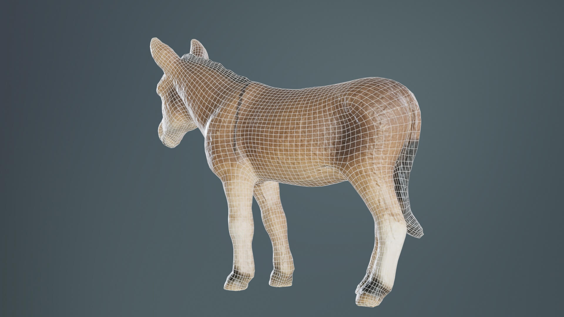 Donkey - 3D Model by Polygonal Miniatures