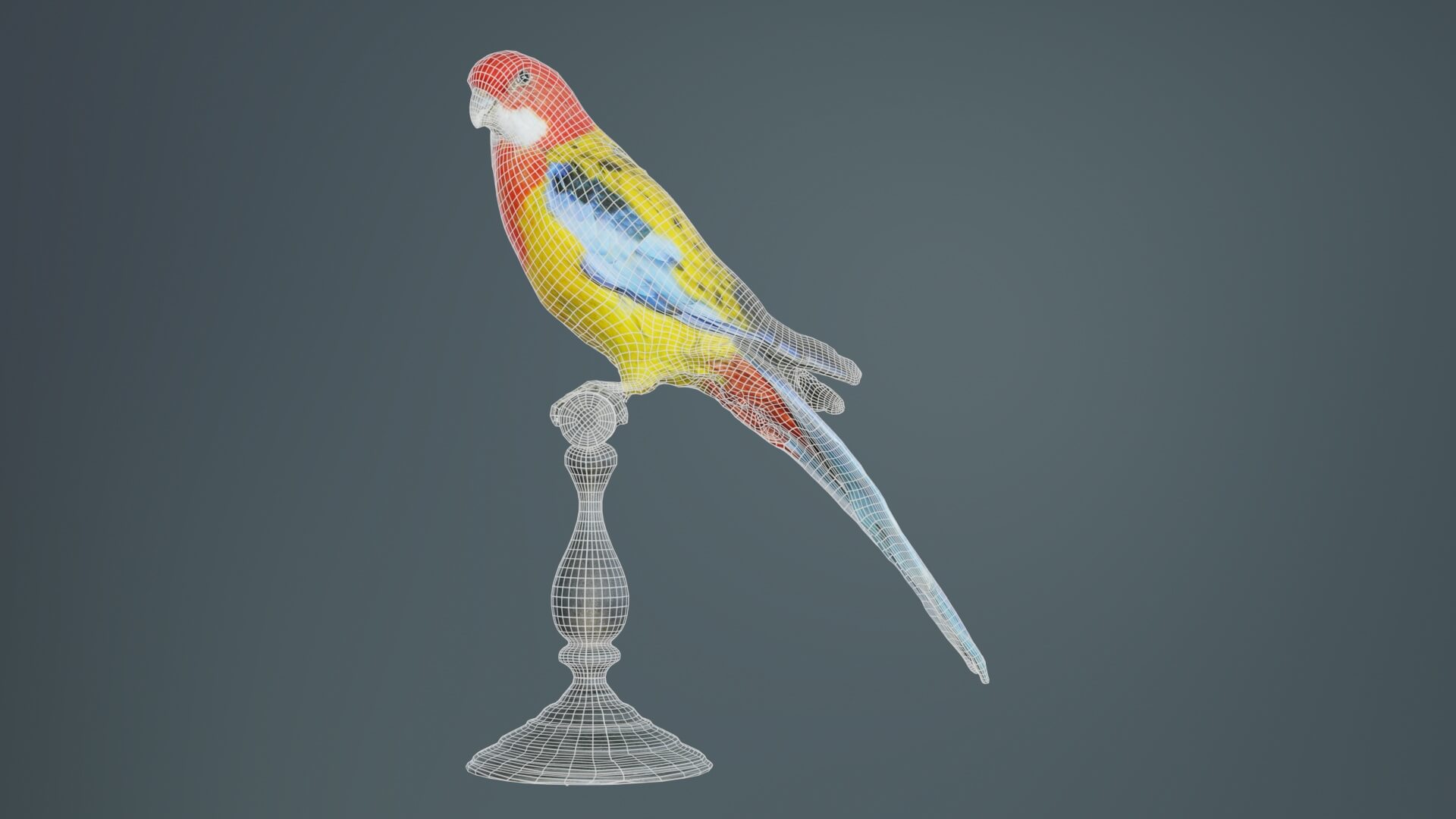 Eastern Rosella Platycercus Eximius - 3D Model by Polygonal Miniatures