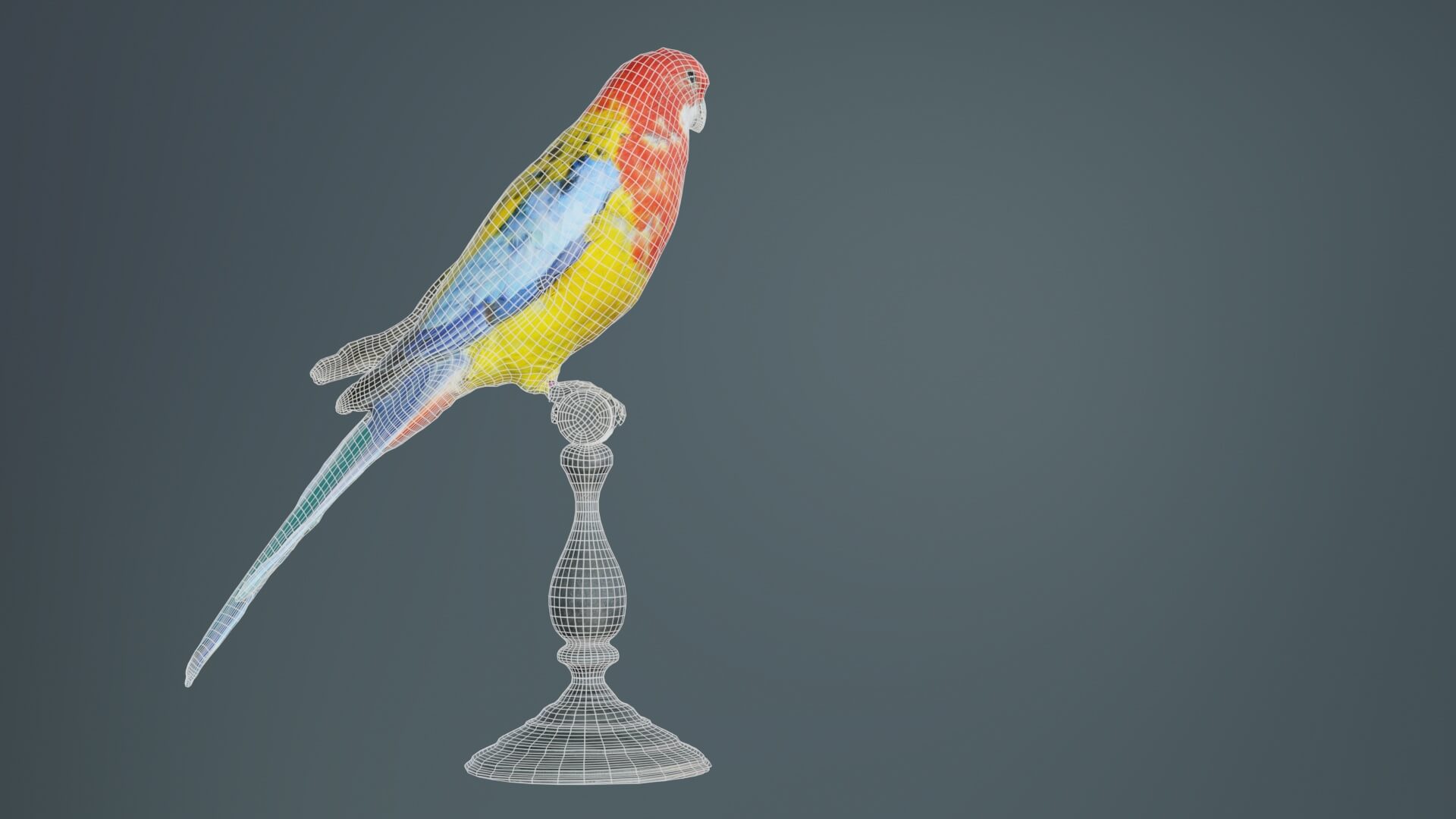 Eastern Rosella Platycercus Eximius - 3D Model by Polygonal Miniatures