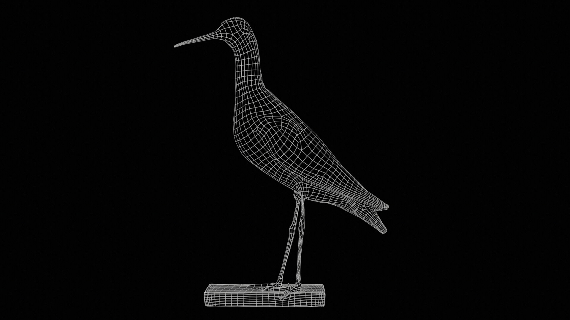 Eskimo Curlew Numenius Borealis - 3D Model by Polygonal Miniatures