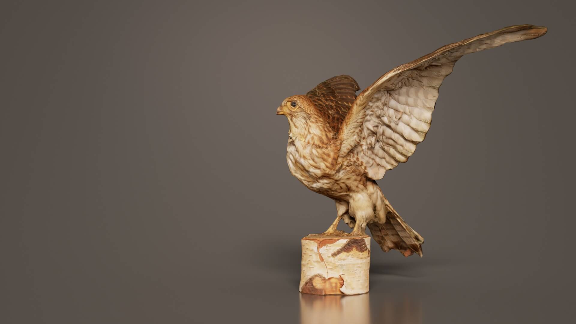 Falcon Falconinae - 3D Model by Polygonal Miniatures