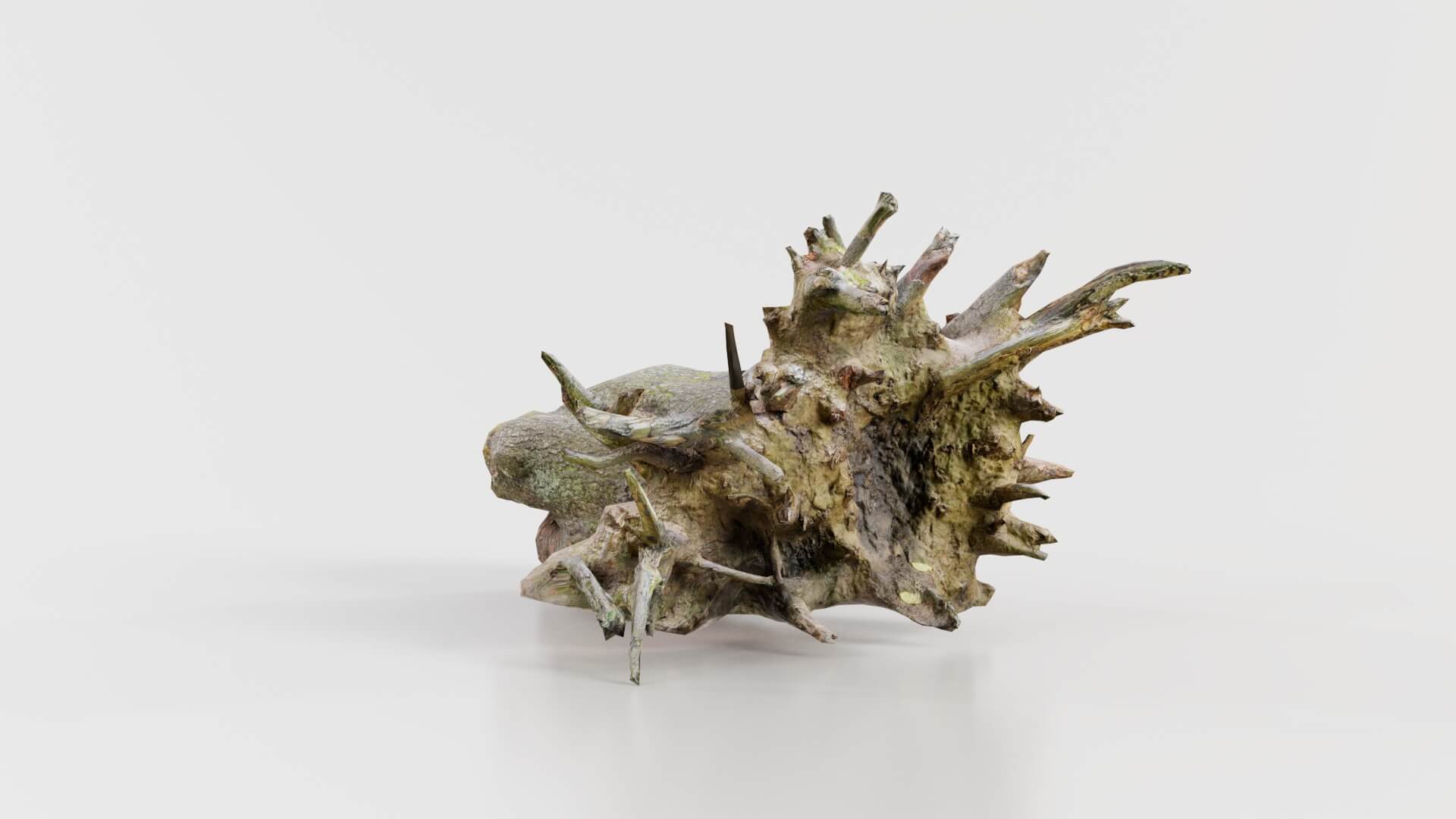 Fallen Tree Stump Roots - 3D Model by Polygonal Miniatures