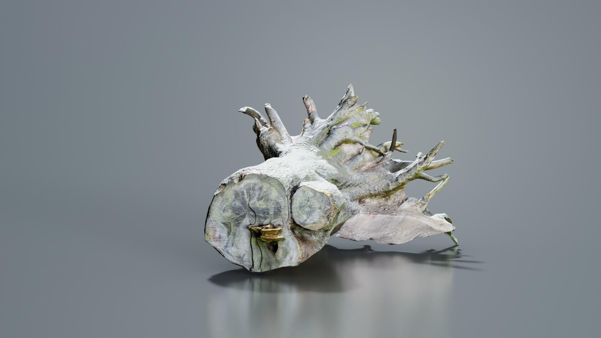 Fallen Tree Stump Roots - 3D Model by Polygonal Miniatures