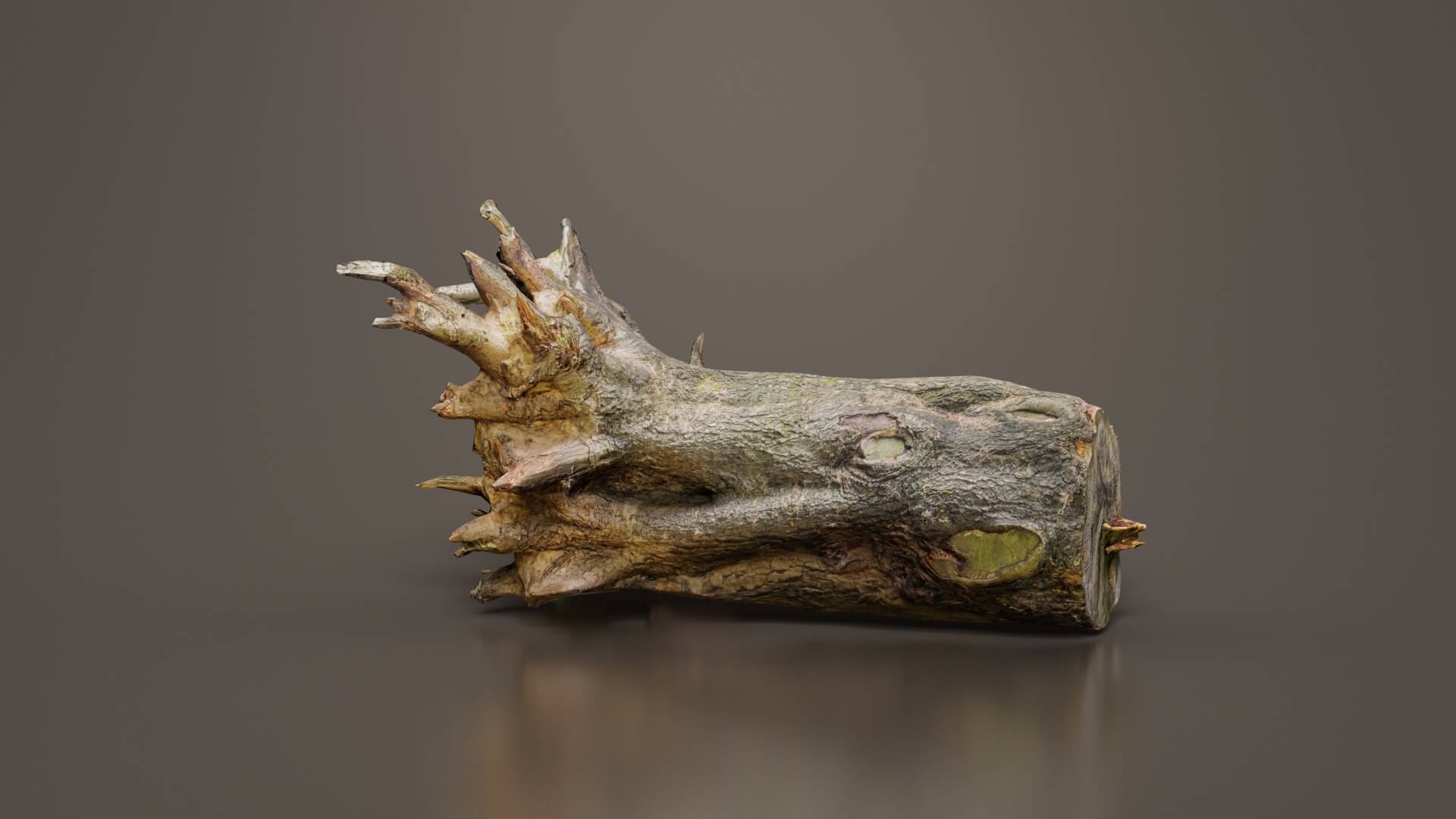 Fallen Tree Stump Roots - 3D Model by Polygonal Miniatures