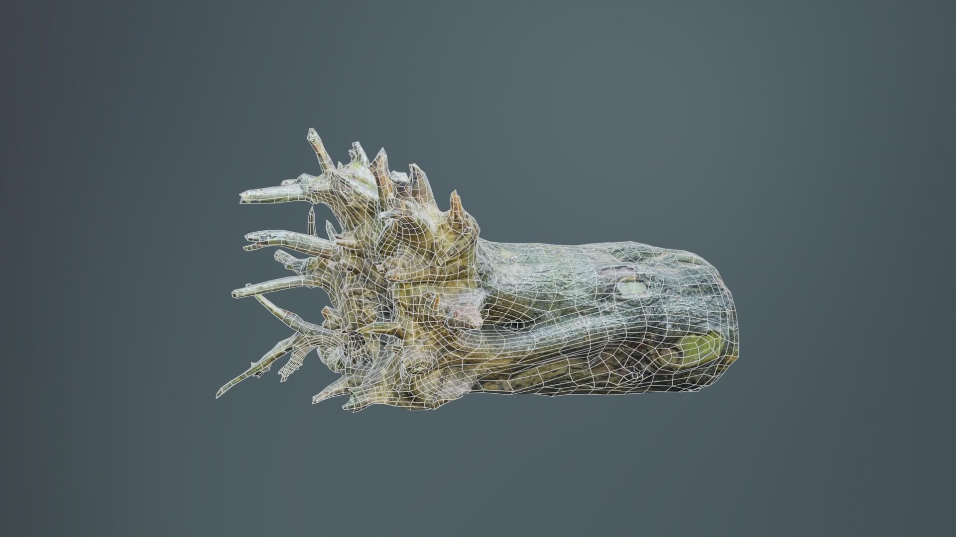 Fallen Tree Stump Roots - 3D Model by Polygonal Miniatures