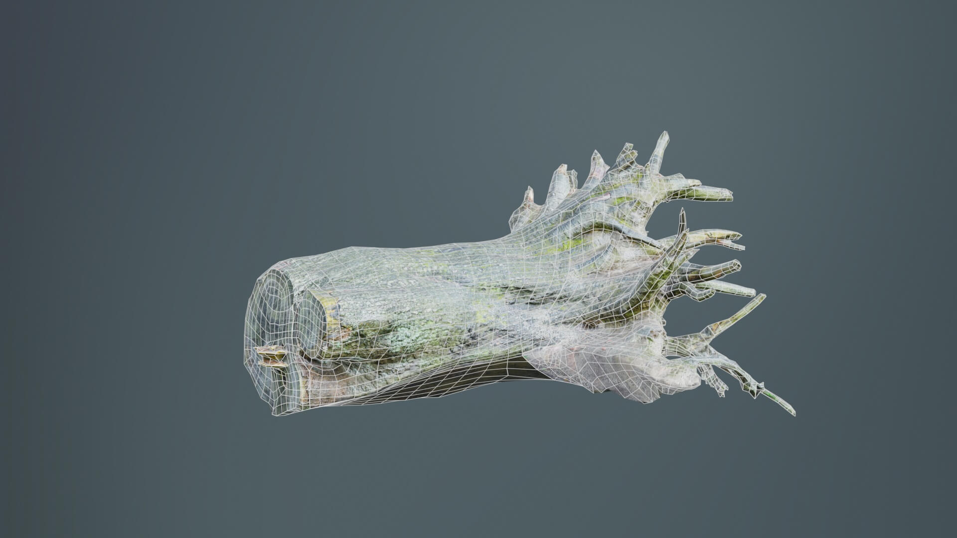 Fallen Tree Stump Roots - 3D Model by Polygonal Miniatures